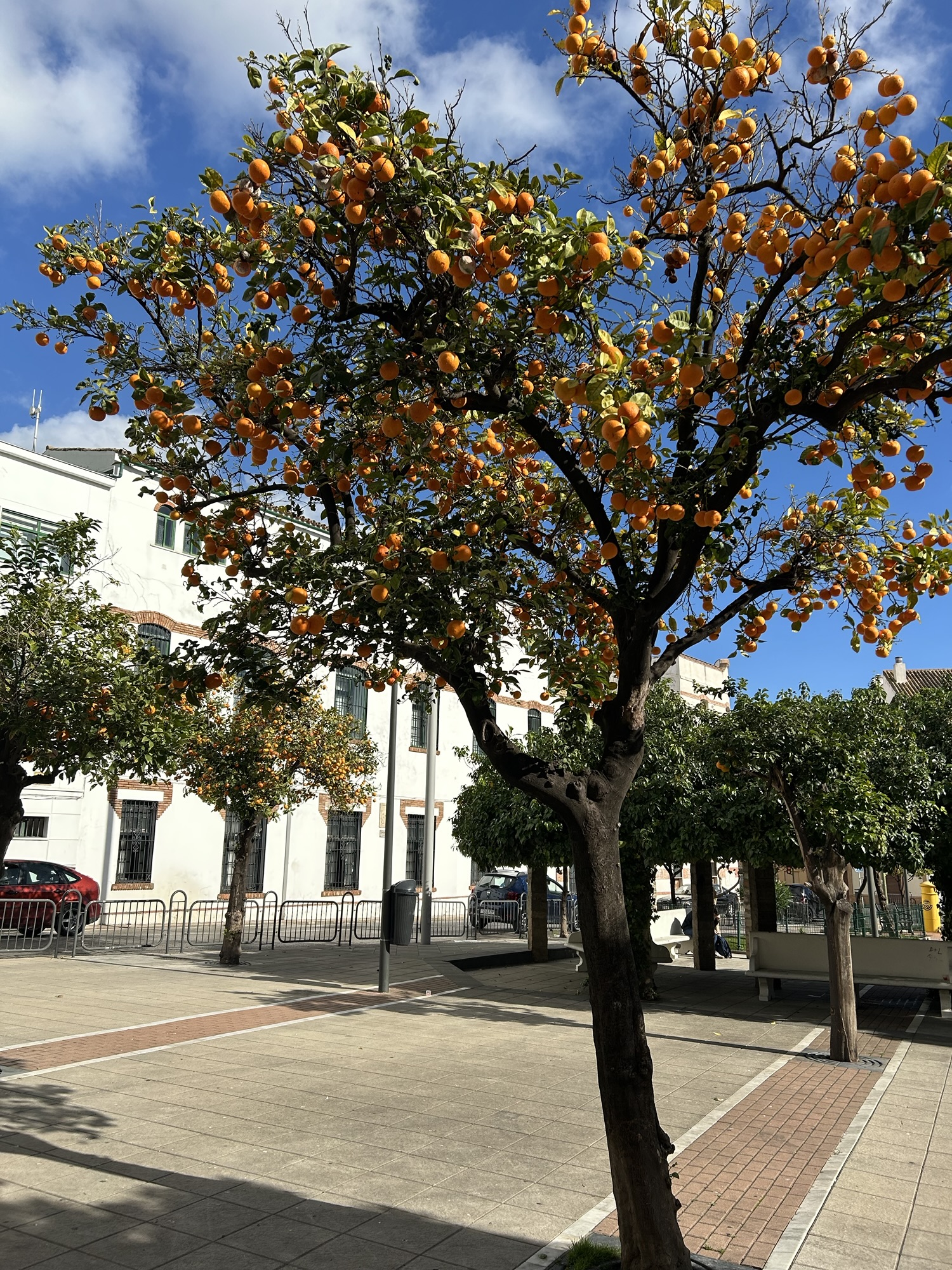 Puddle jumping to Morocco | The Flip Side of Fifty